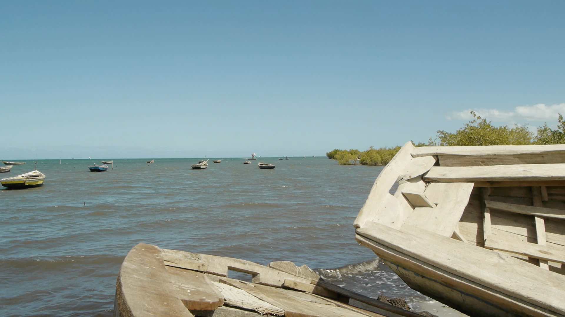 Don't give me fish, teach me how to fish - FilmHaiti.com